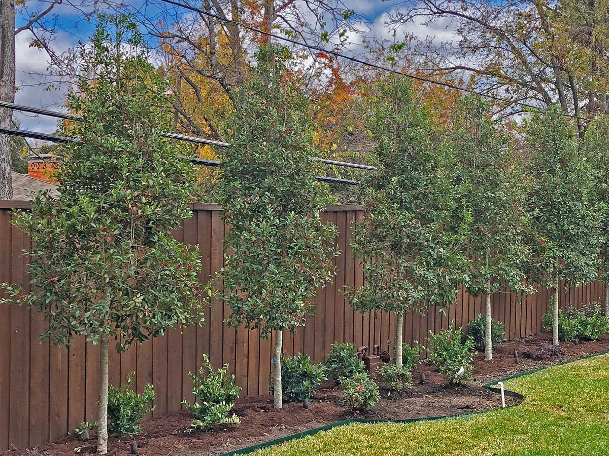 Torres Landscape and Irrigation Garland, TX, 75042 | Networx