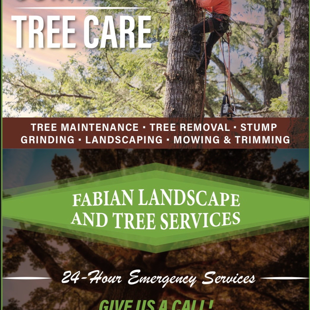 Fabian Landscape.com Austin, TX, 78705 | Networx